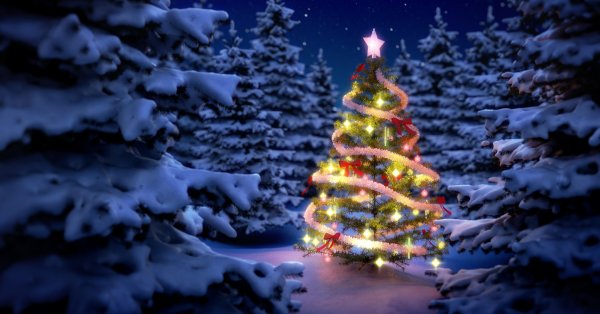Невероятната история на коледната елха - Tialoto